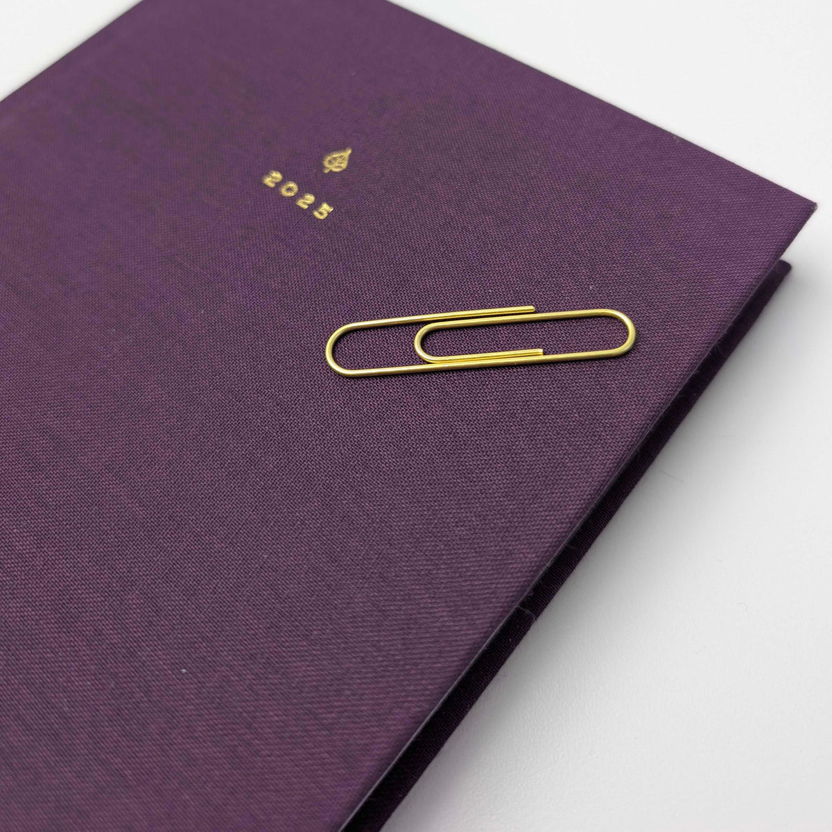 Brass Paper Clips