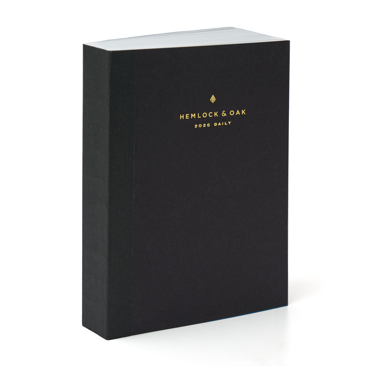 2026 Daily Planner (Paper Flex)